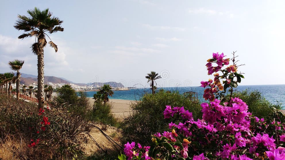 Algo Para El Stock Photos - Free & Royalty-Free Stock Photos from ...