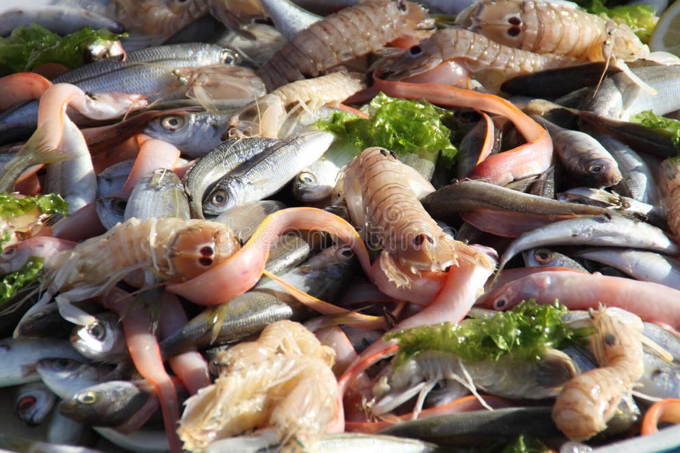 Mixed fish stock image. Image of cook, traditional, fish - 22389501