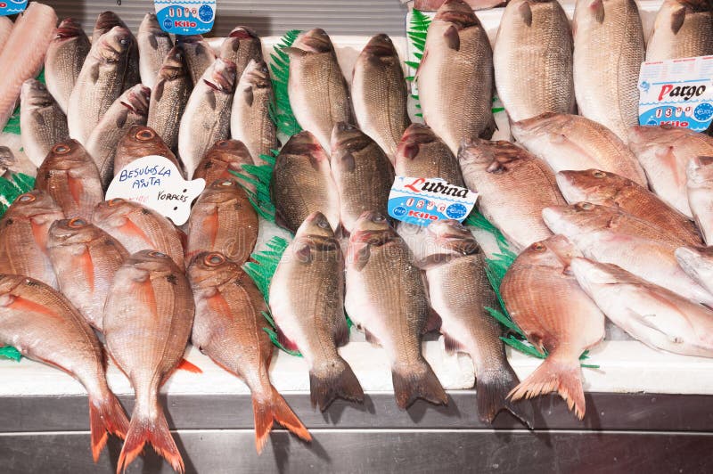 Mixed fish stock image. Image of besugo, vendor, prices - 27756047