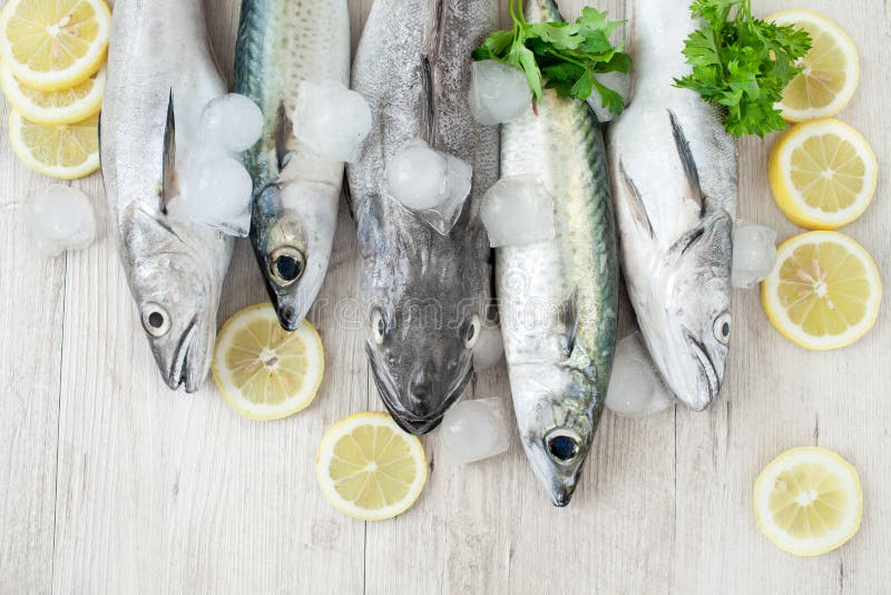 Mixed Fish stock photo. Image of catch, atlantic, ocean - 73817240
