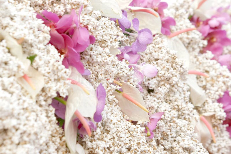 Mixed flower stock photo. Image of arrangement, buqet - 44977700