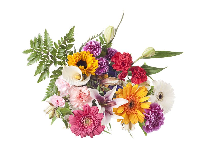 Mixed Flower Arrangement On White Stock Photo - Image of blooms ...