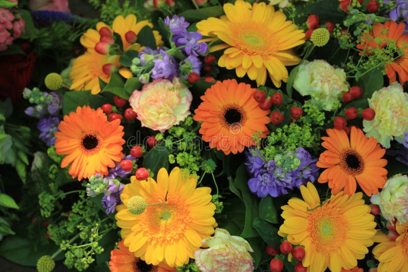 Mixed flower arrangement stock photo. Image of carnation - 206275714