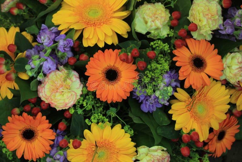 Mixed flower arrangement stock photo. Image of blue, flower - 83676416