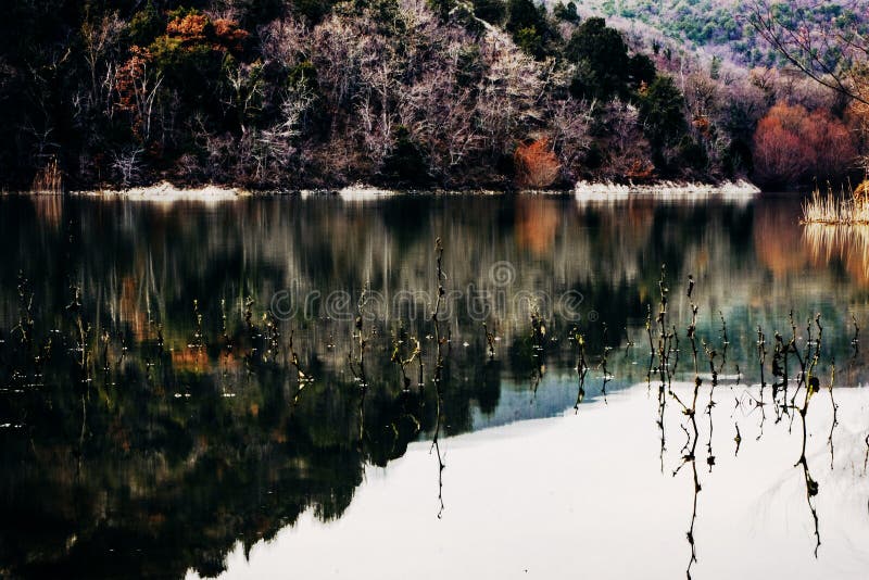 Mixed Forest on a Hill in Early Spring is Reflected in the Calm Water ...