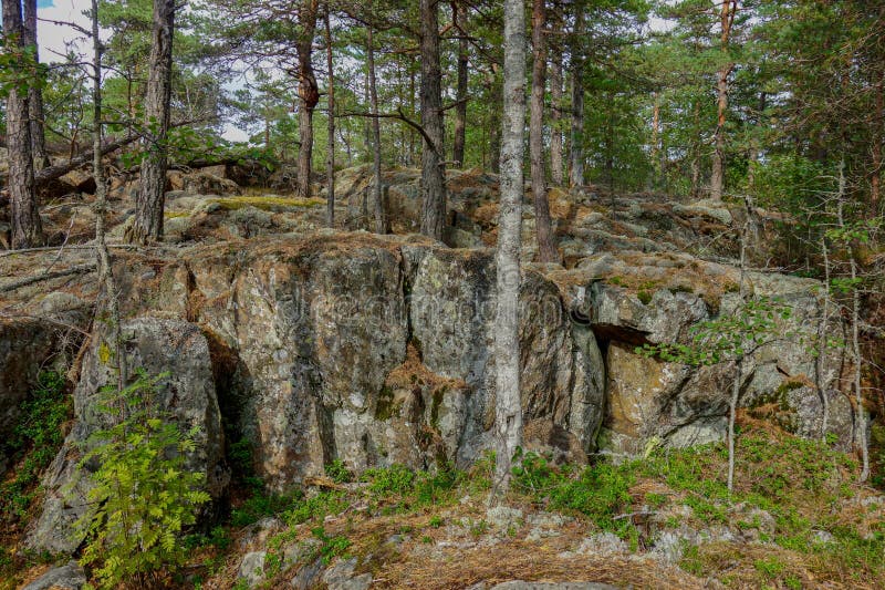 Mixed Forest in Rugged Terrain Stock Image - Image of nature, pines ...