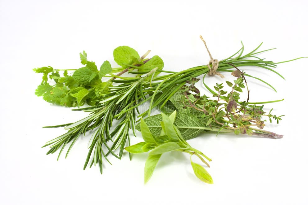 Mixed fresh herbs stock image. Image of group, leaves - 14544467