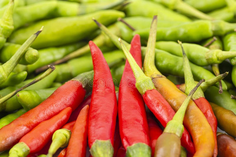 A Mixed of Fresh Hot and Spicy Red and Green Bird-chilli Stock Image ...