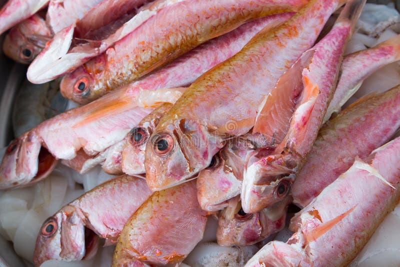 Mixed fried fish stock photo. Image of diet, eating, mullet - 67064274