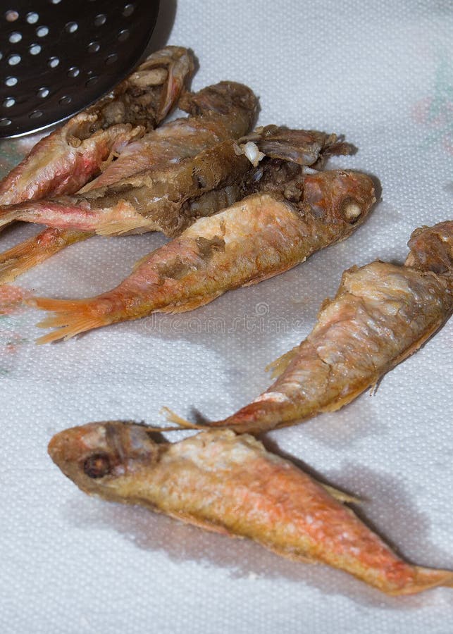 Mixed fried fish stock image. Image of fried, eating - 67064563