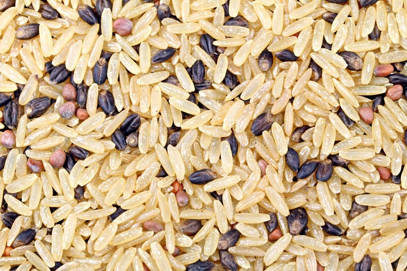 Mixed grain rice stock image. Image of black, color, group - 27288523