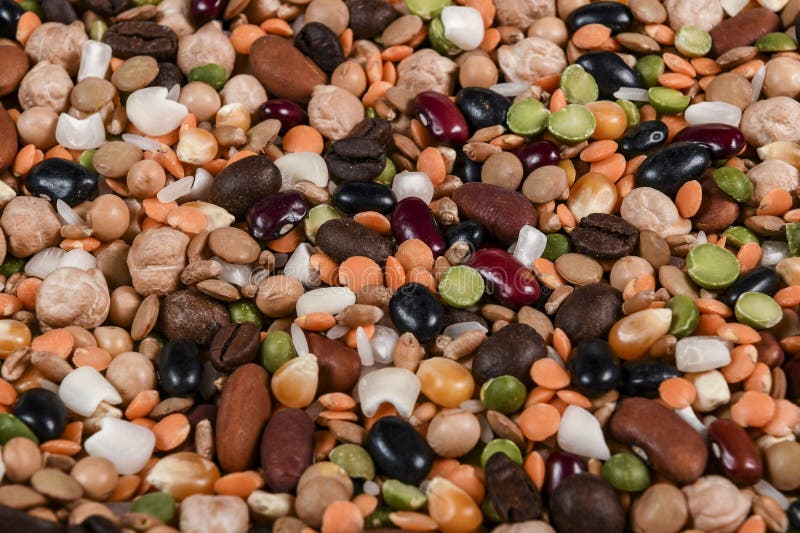 Miscellaneous Mixed Seeds in Pile Formed Background Texture Stock Photo ...