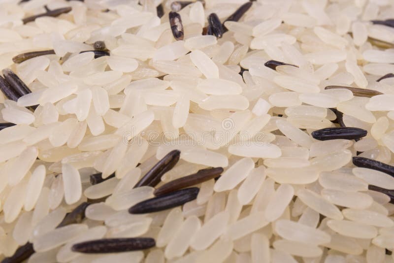 Mixed Grain and Wild Rice Long Stock Image - Image of asian, detail ...