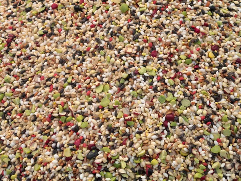 Mixed grains stock image. Image of heap, green, cooking - 40312327