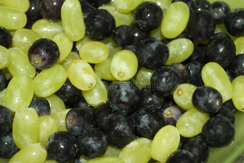 Mixed Grapes stock image. Image of eating, bowl, grape - 3052595