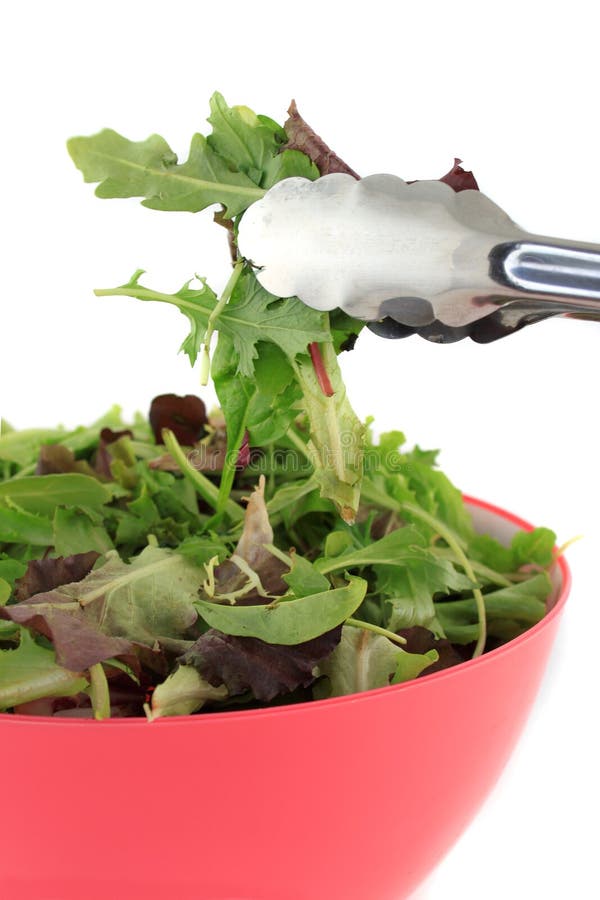 Mixed greens for salad stock image. Image of vegetarian - 26226257