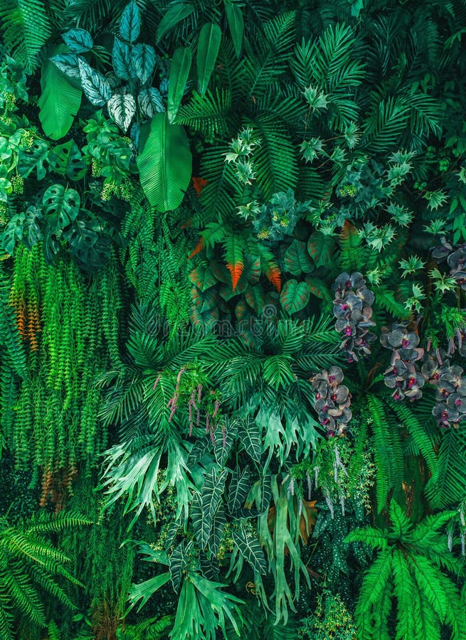 Mixed Leaf with Flower on Wall for Design Stock Image - Image of palm ...