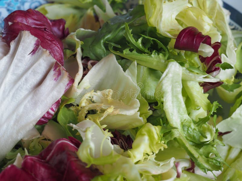 Mixed leaf salad stock image. Image of mixed, salad - 177529397