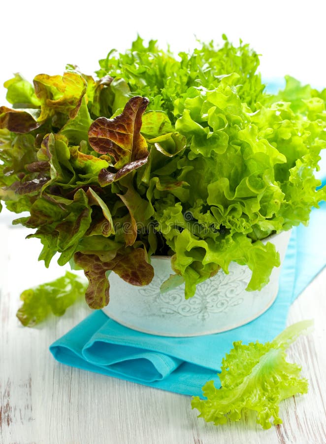 Mixed lettuce in a bowl stock image. Image of vegetarian - 16681599