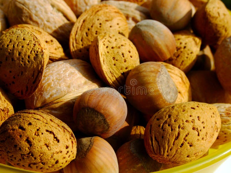 Bucket of Nuts stock photo. Image of brazil, fresh, culinary - 1721864