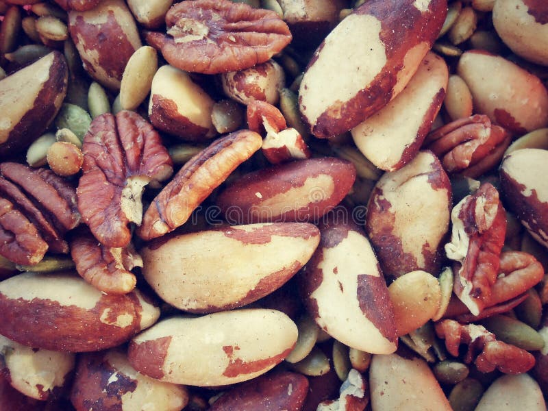 Mixed Nuts stock photo. Image of nuts, close, mixed, pecans - 47609952