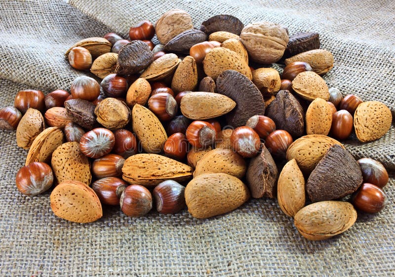 Bag of Mixed Nuts stock image. Image of healthy, nylon - 28384023