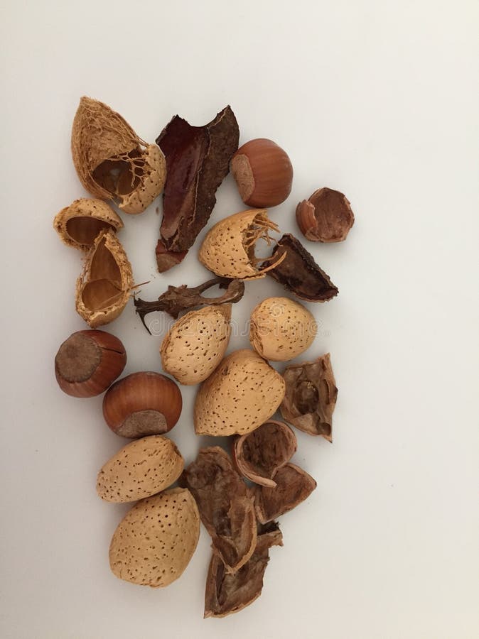 Mixed Nuts stock photo. Image of hard, seeds, shell - 117858842