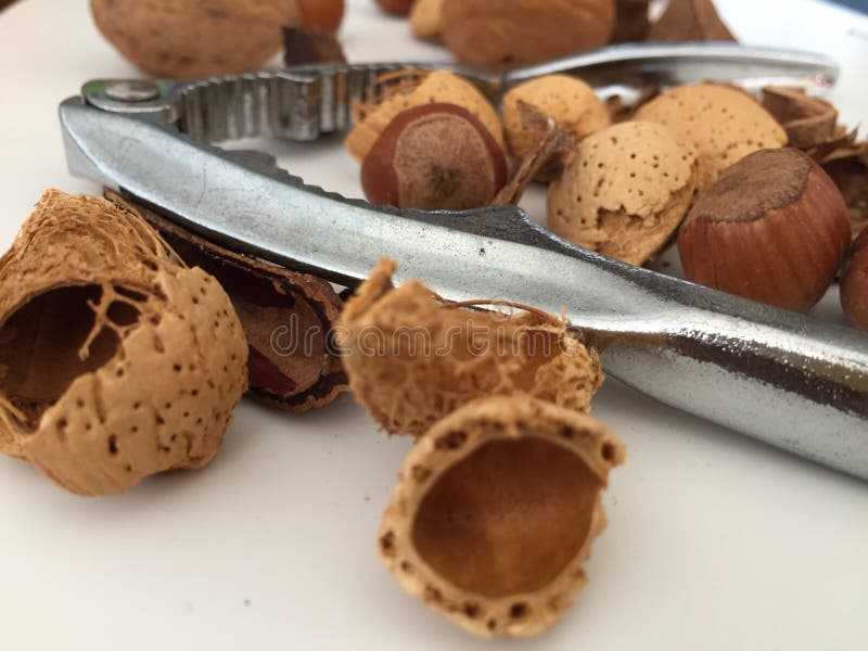 Mixed Nuts stock photo. Image of shell, seeds, composed - 117871832
