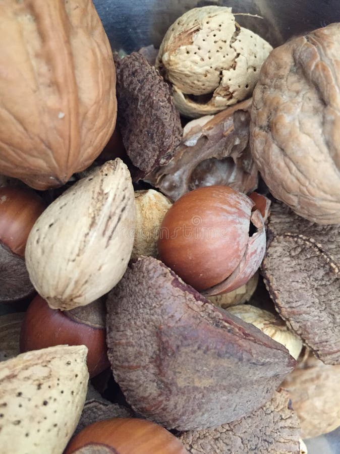 Mixed Nuts stock photo. Image of composed, edible, hard - 117872384