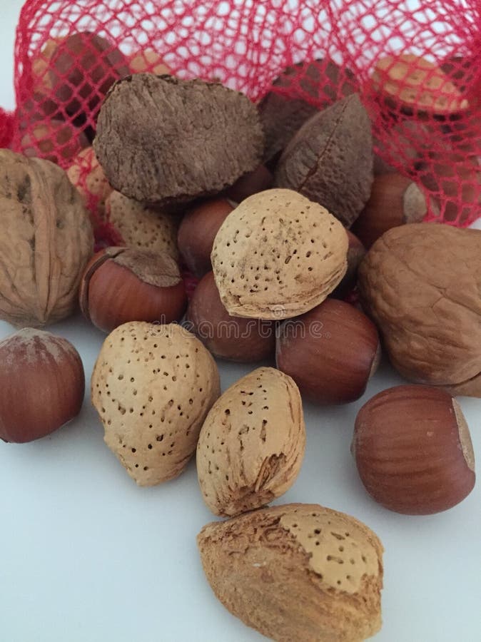 Mixed Nuts stock photo. Image of inedible, seeds, nuts - 117873346