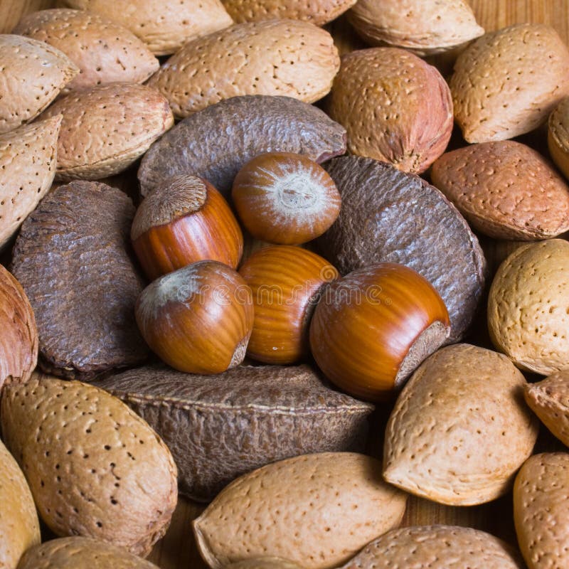 Mixed nuts in the shell stock image. Image of healthy - 33766803