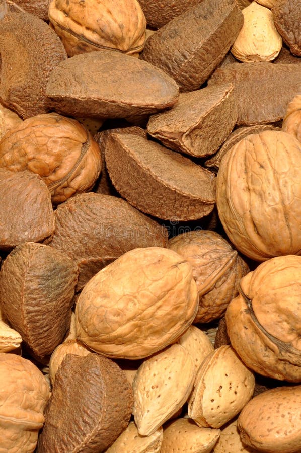 Mixed Nuts in Shells Background Stock Image - Image of almonds, natural ...