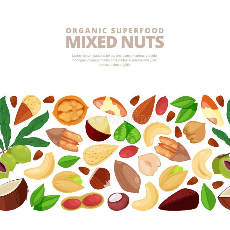 Mixed Nuts Clipart