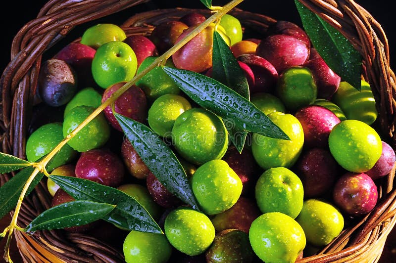 Mixed Olives with Different Maturation Stock Image - Image of food ...