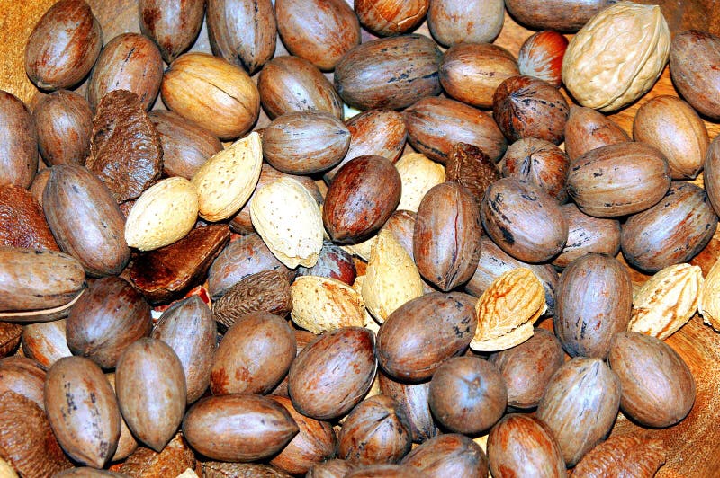 Mixed organic nuts. stock image. Image of pecans, food - 151734339