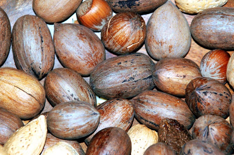 Mixed organic nuts. stock photo. Image of snack, shells - 151734340