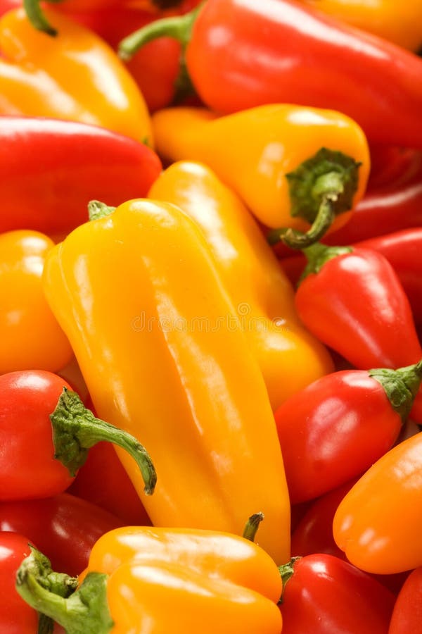 Mixed Peppers stock photo. Image of miniature, fresh - 12660340