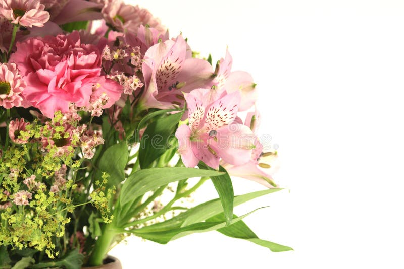 Mixed pink flowers stock image. Image of floral, flora - 11767607