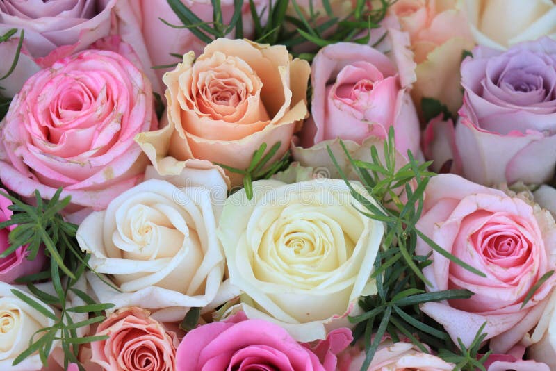 Mixed pink roses stock photo. Image of rose, arrangement - 143044162