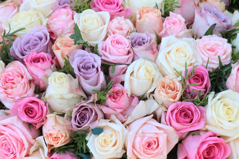 Mixed Pink And White Bean Candy Sweets Stock Photo - Image of jelly ...