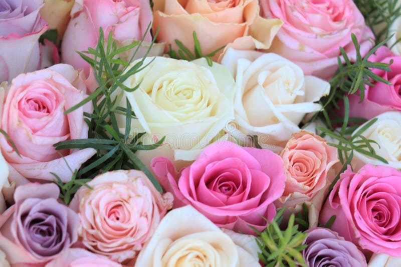 Mixed pink roses stock photo. Image of arrangement, centerpiece - 162359638