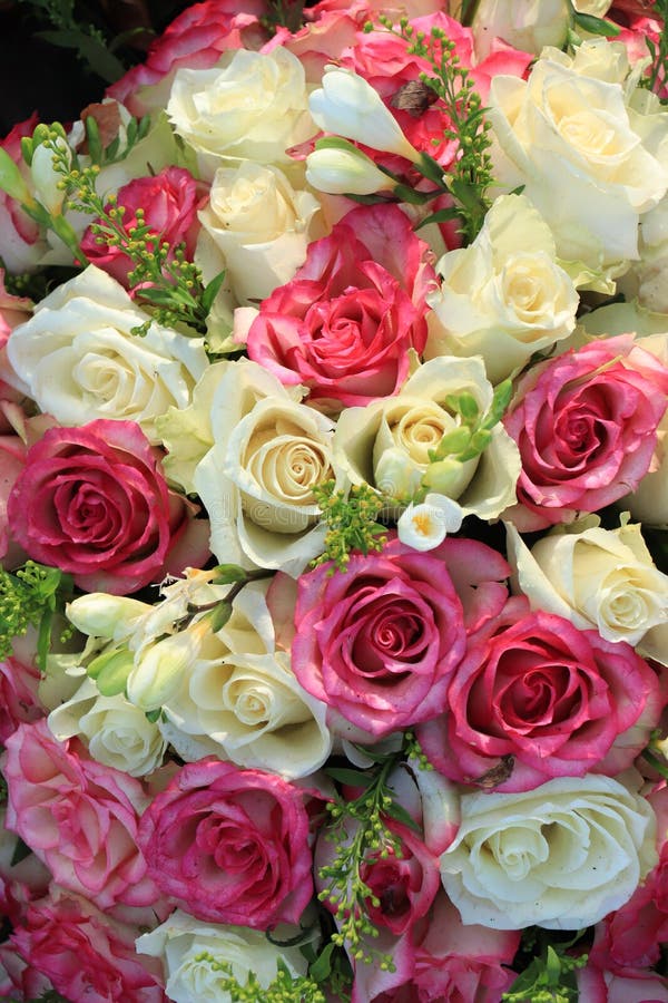 Mixed pink and white roses stock image. Image of arrangement - 140520375