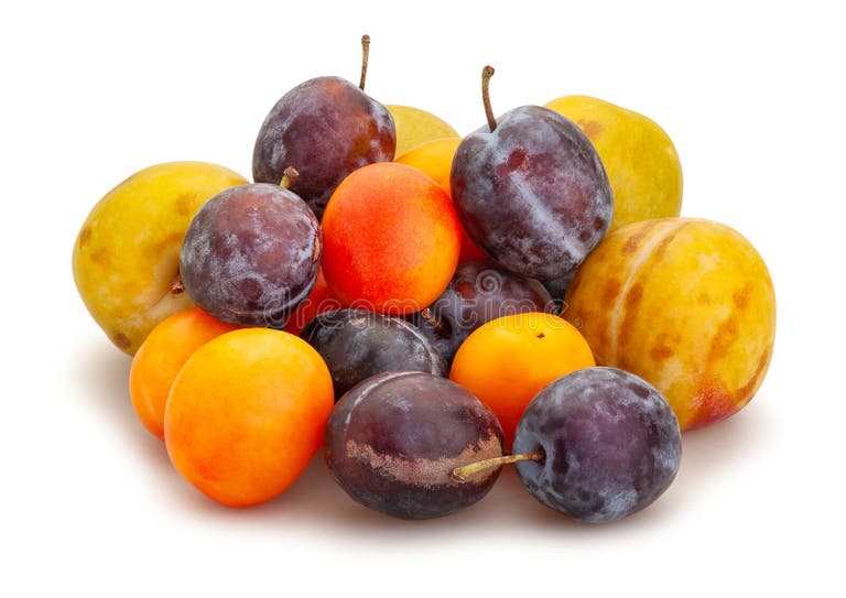 Mixed plums path isolated stock image. Image of fruit - 368320639