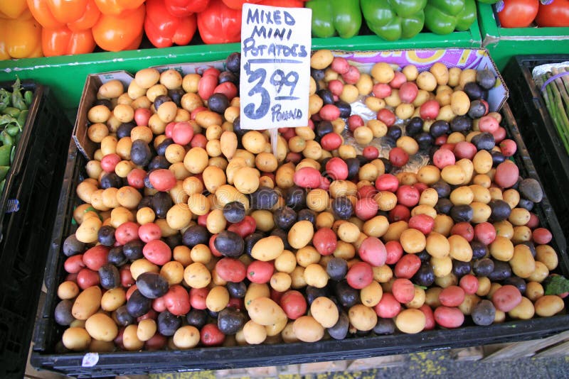 Mixed potatoes stock photo. Image of sale, organic, food - 26050444
