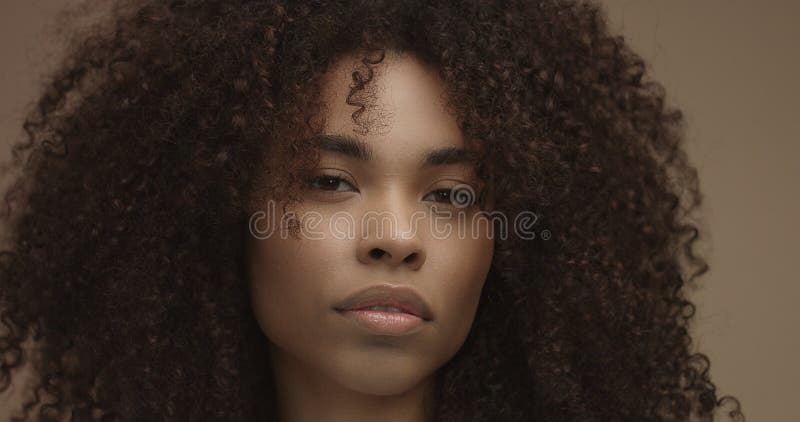 Mixed Race Black Woman Portrait With Big Afro Hair Curly Hair Stock