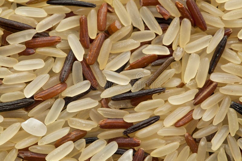 Mixed rice background stock photo. Image of mixed, white - 88688670