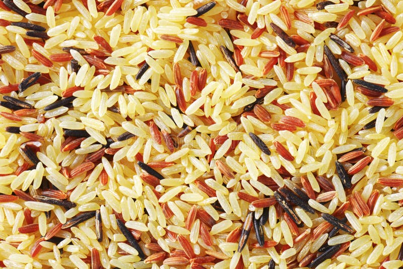 Mixed rice stock photo. Image of dish, variety, detail - 57128198