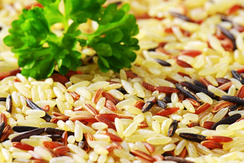 Mixed rice stock photo. Image of side, asian, full, dried - 57128698