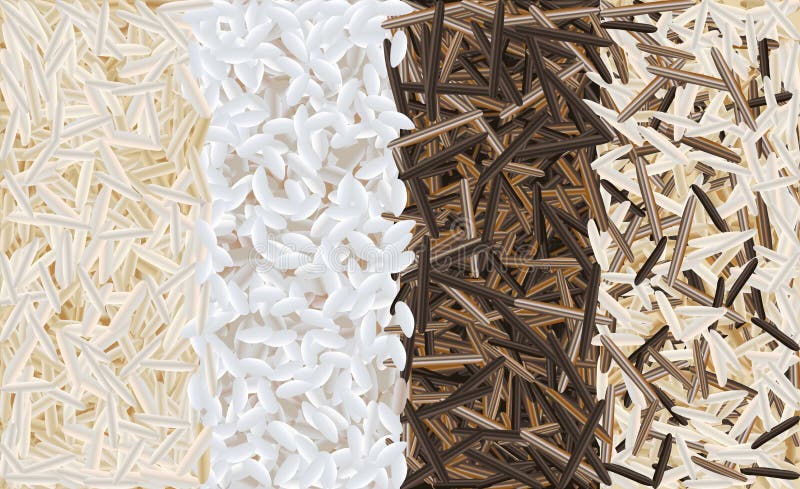 Mixed Rice Pattern Vector Illustration Stock Vector - Illustration of ...