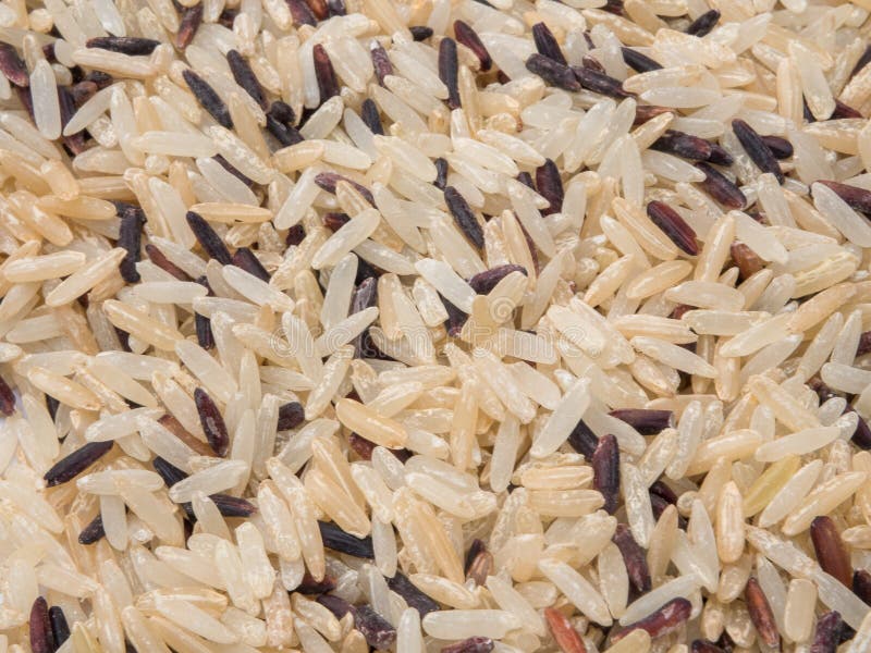 Mixed rice texture. stock image. Image of food, farmers - 88459255